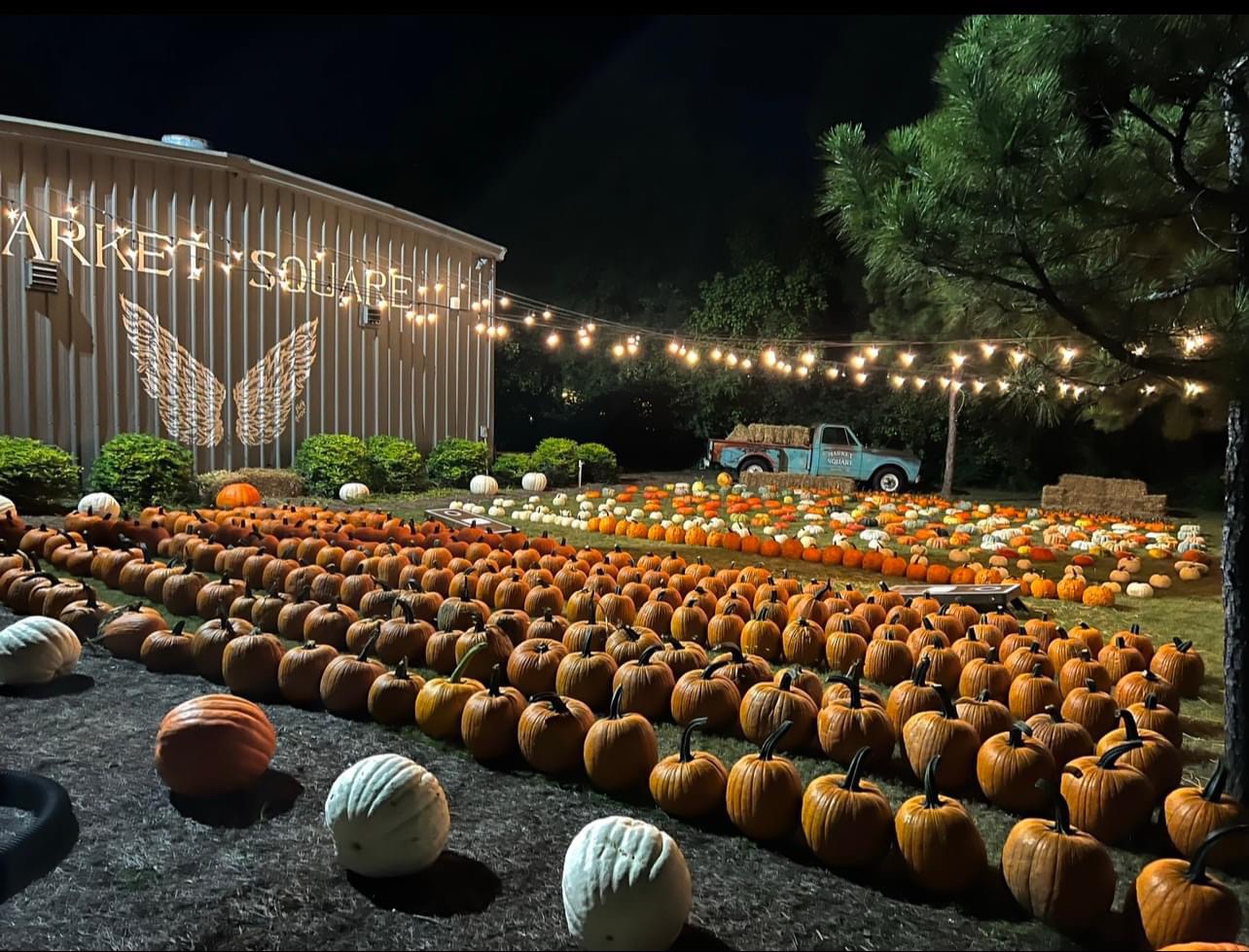Visit Middle Georgia's 2023 Fall Festival Farms Guide